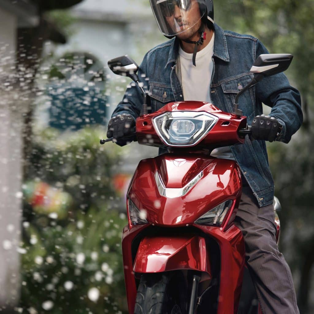 Yadea Voltguard VFV Pro • GO2ROUES