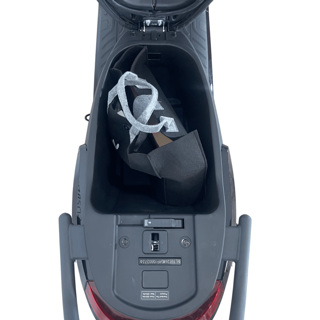 Segway E300SE • GO2ROUES