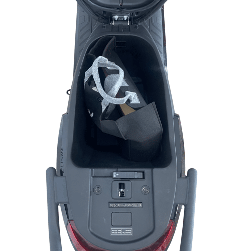 Segway E300SE • GO2ROUES